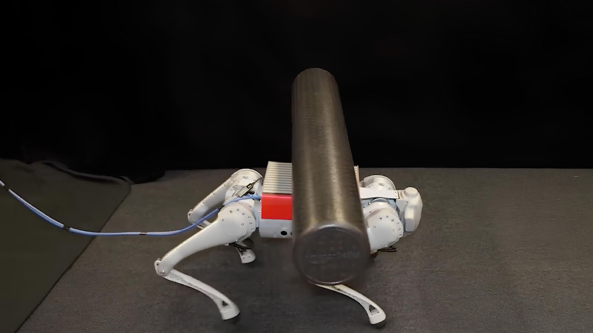 Video: Robot dog balances rolling object on its back while dodging ...