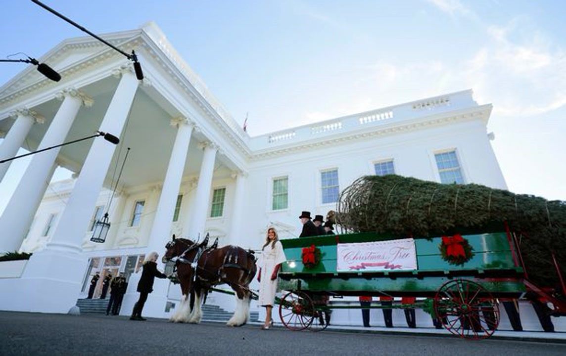Melania Trump’s Awkward Exit at Tree Delivery Event