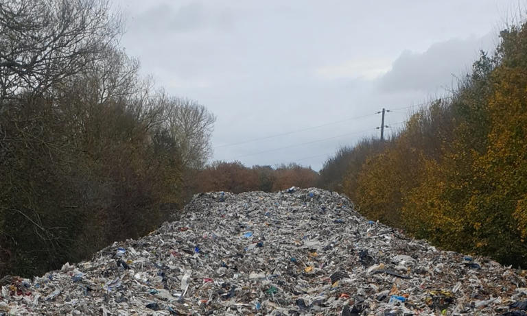 Man, 39, is arrested in investigation into Britain's 'biggest ever' fly ...