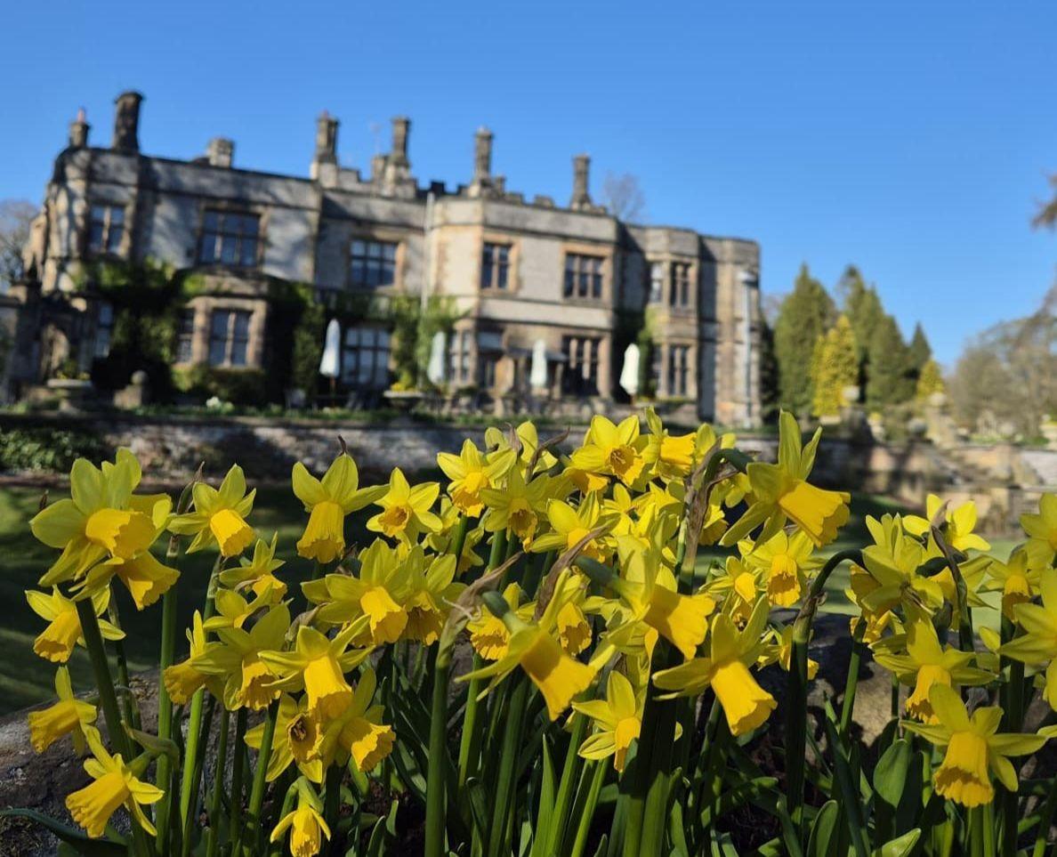 Gardener says plant these four bulbs this weekend for gorgeous ...