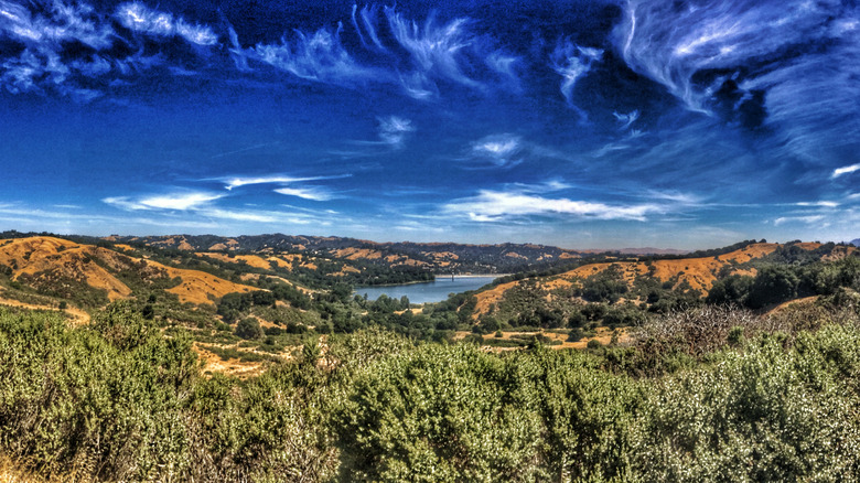 Tucked In California's Bay Area Is A Walkable Suburb With Wineries ...