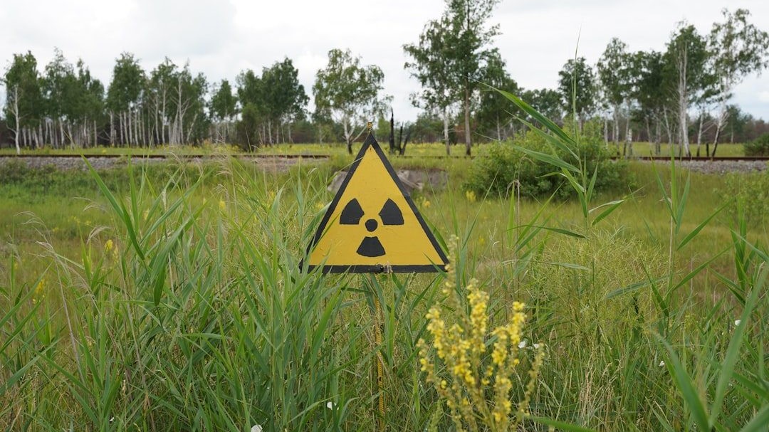 Why Some Plants Thrive in Radioactive Zones