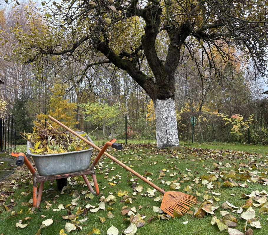 Late Fall Yard and Garden Mistakes That Will Cost You Next Spring