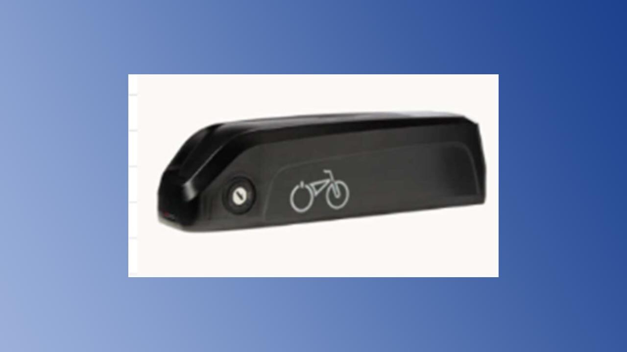 CPSC warns to stop using Rad Power Bikes e-bike batteries immediately