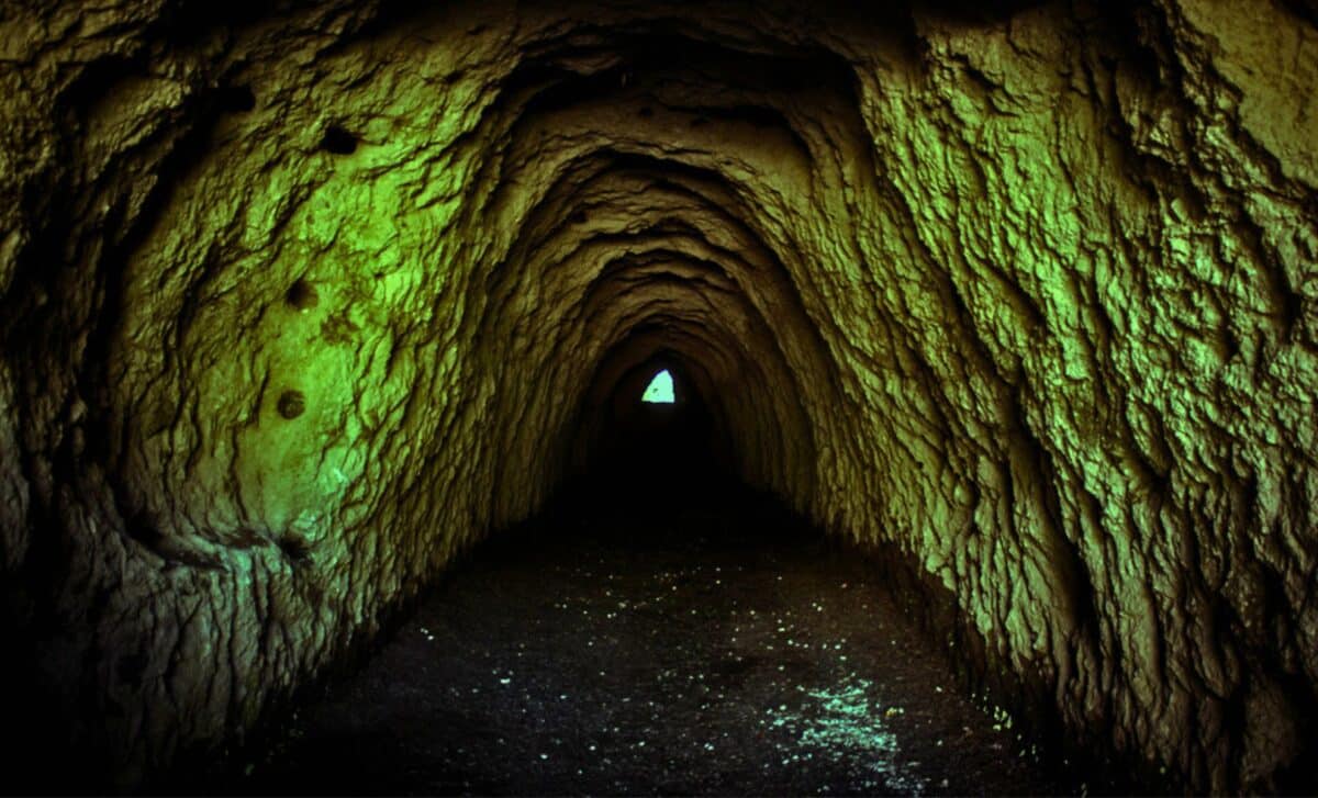 An Ancient Life Form Frozen for 40,000 Years Woke up in Alaska—Six ...