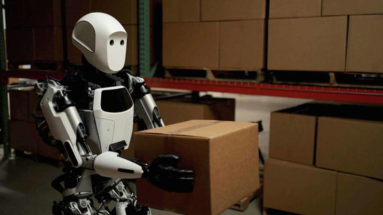 New Austin-area construction highlights Tesla's Optimus robot ambitions