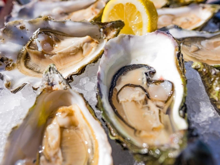 Landmark MA Restaurant Honored At World Culinary Awards