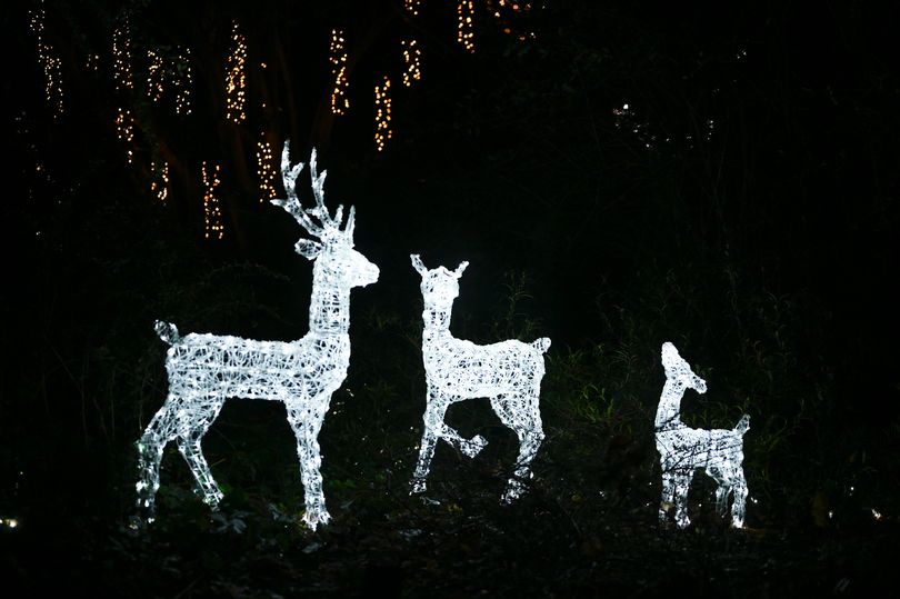 Road closure warning issued as Christmas Capers returns to Leicestershire