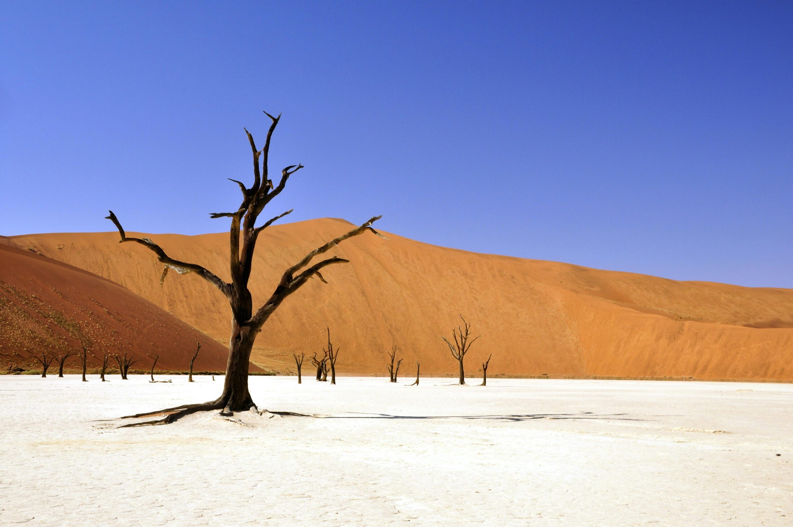 Where Drought Is So Bad, People Can’t Live There