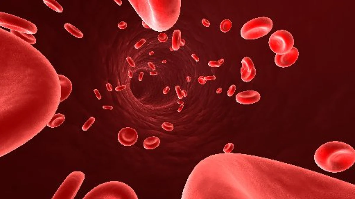 ¿Eres mujer, tienes regla abundante y sufres de anemia? Investigadores ...