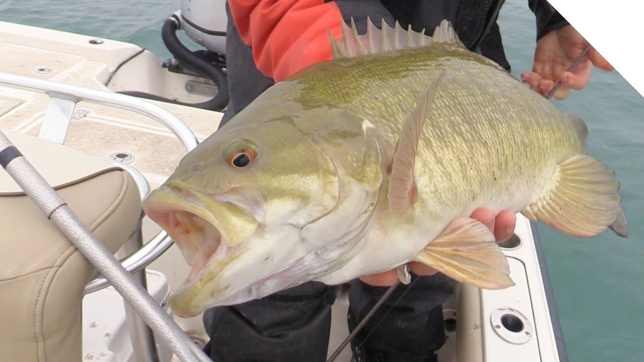 Big bass - making it happen!