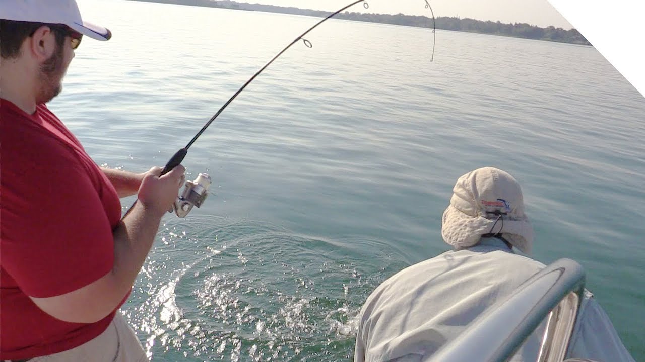 Mixed bag of smallies, silver bass, and walleye