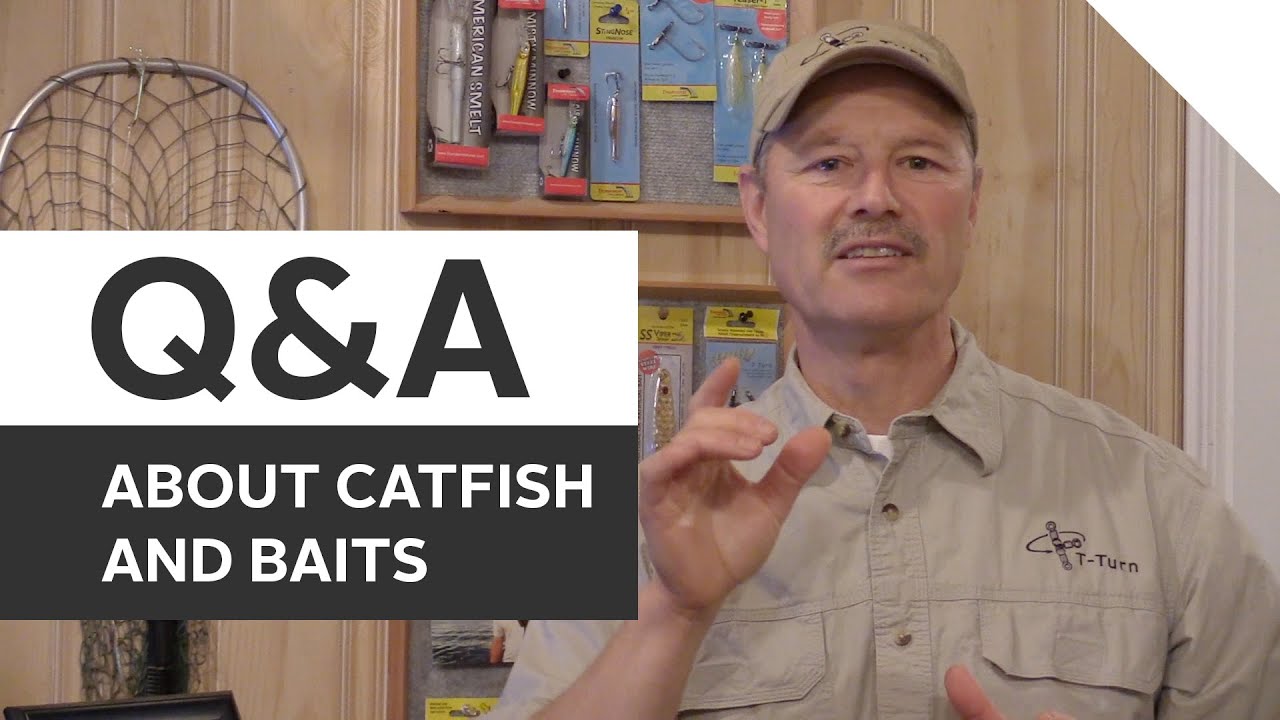 Fishing Q&A - Answers about catfish: Lip locking and baits