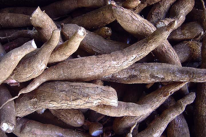 As qualidades que fizeram da tapioca um alimento popular nas ruas do Brasil