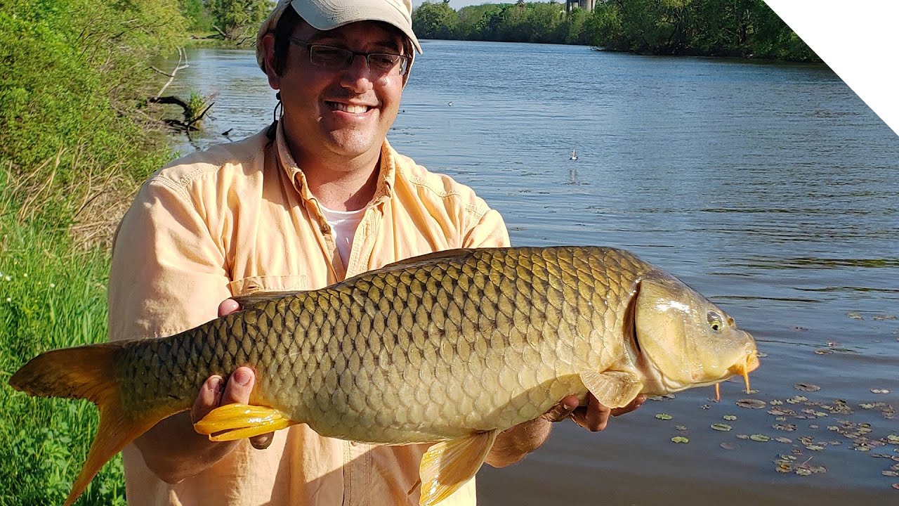 Shore fishing for carp - with bonus catfish!
