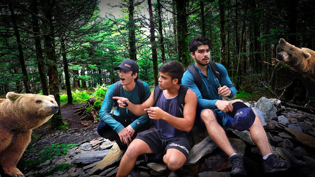 Bears, mountains, & injuries | Alum Cave Trail