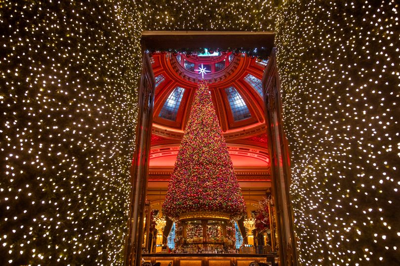 The Dome in Edinburgh unveils Christmas tree with half a million lights