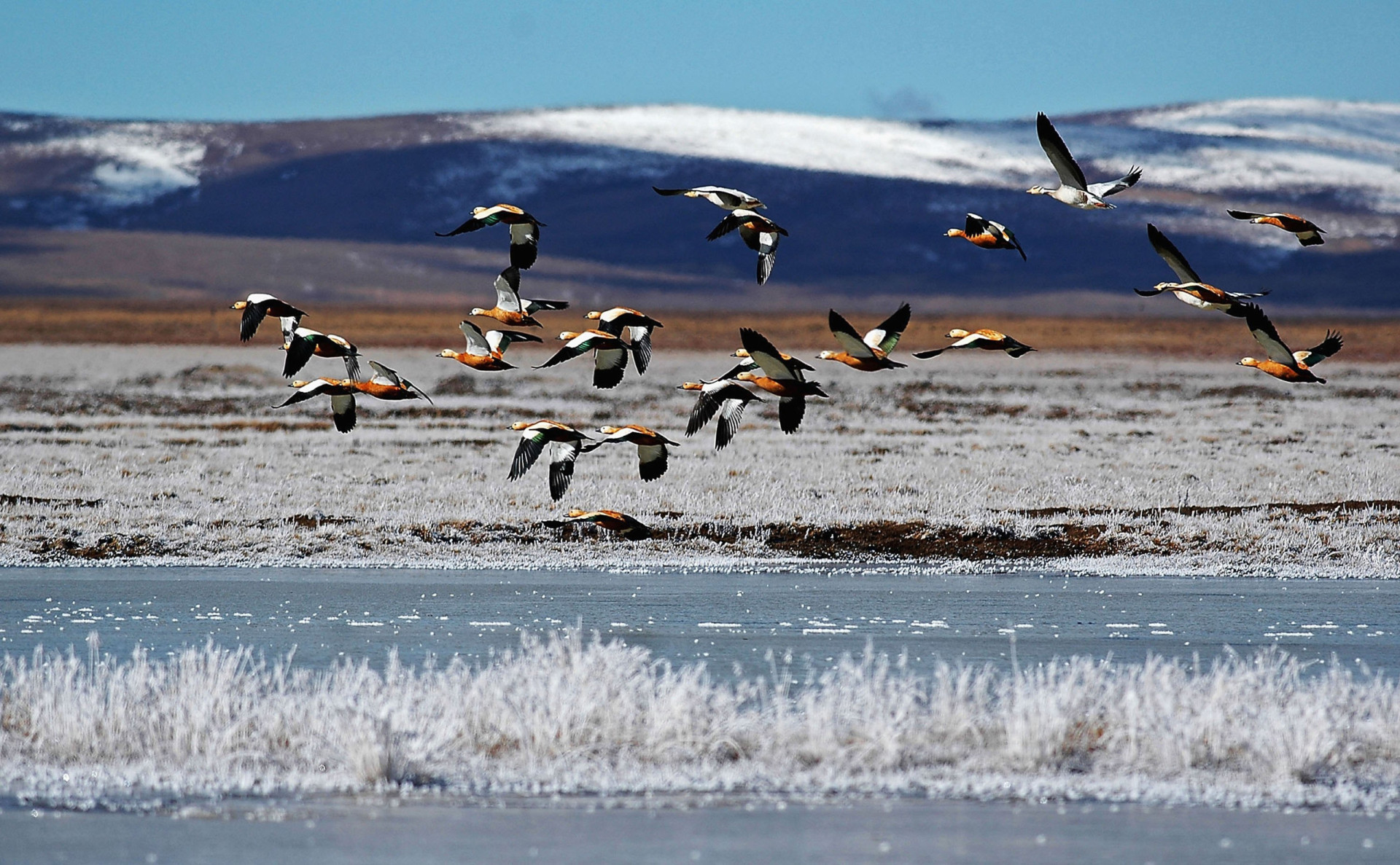 The world’s largest endorheic lakes, ranked