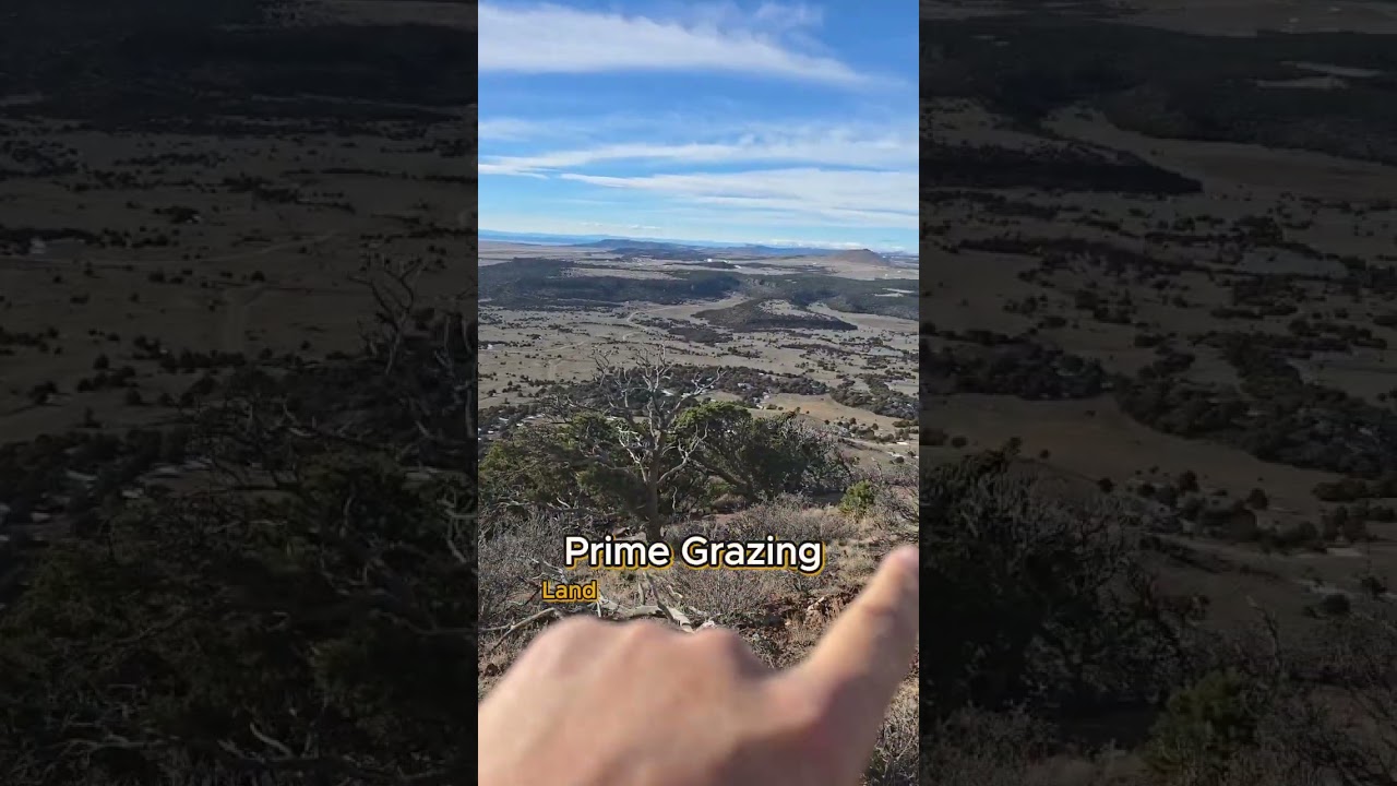 Lets Talk About Goodnight Loving Trail