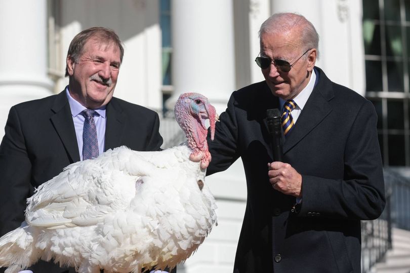 Who was first president to pardon a turkey and bizarre Thanksgiving ...