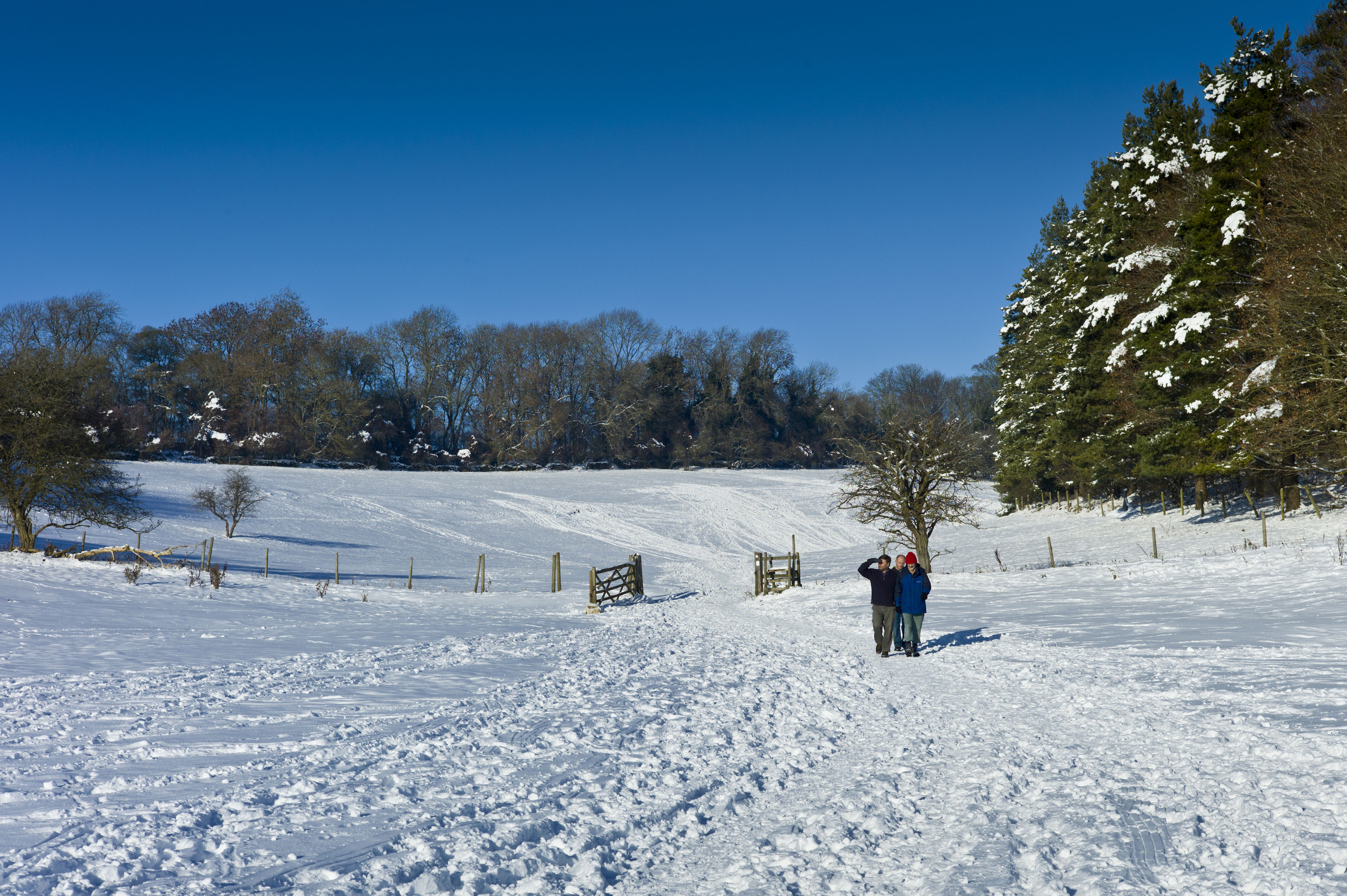 Met Office Christmas forecast reveals chance of snow on 25 December