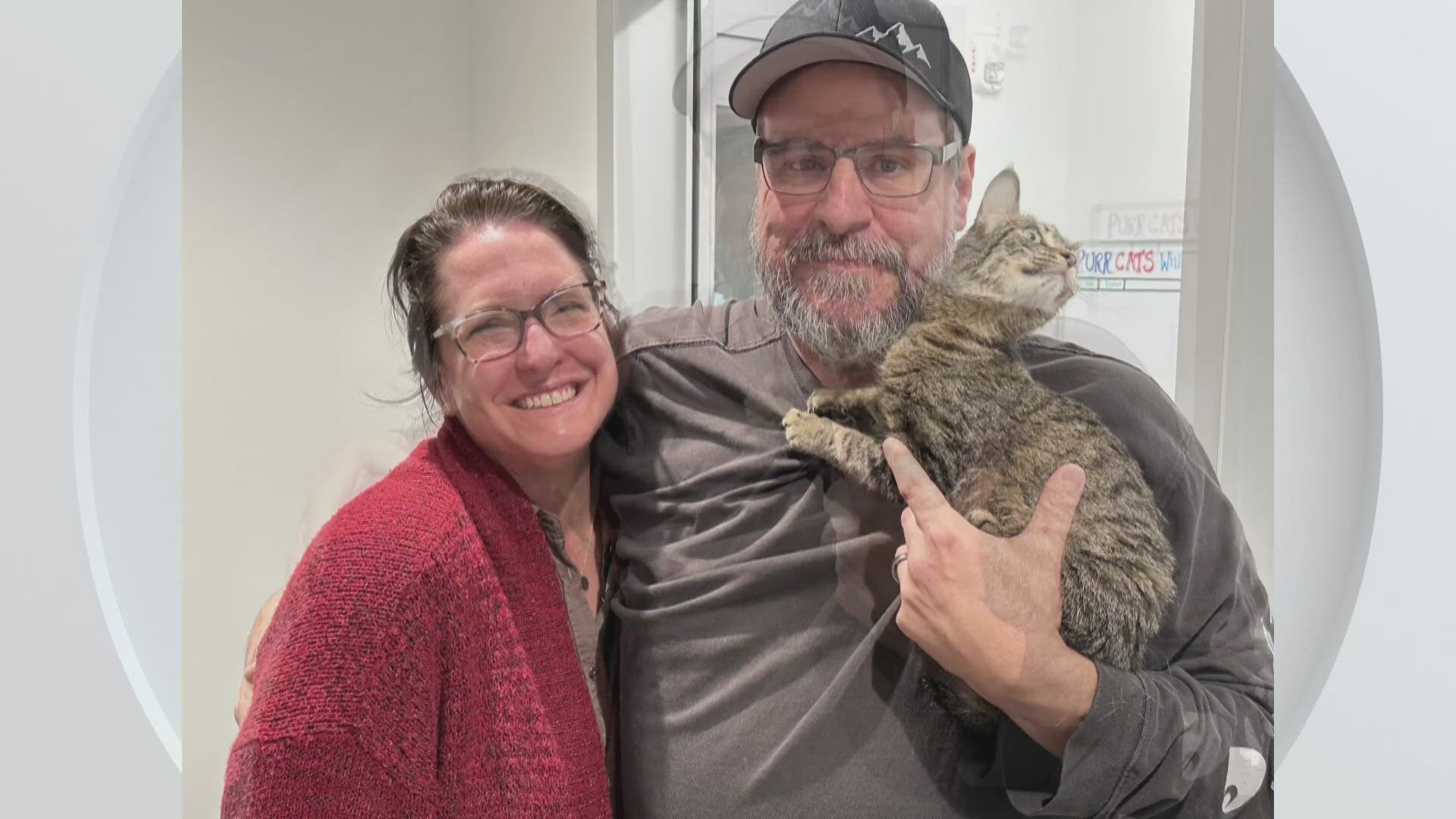 Boise cat ends up in San Francisco