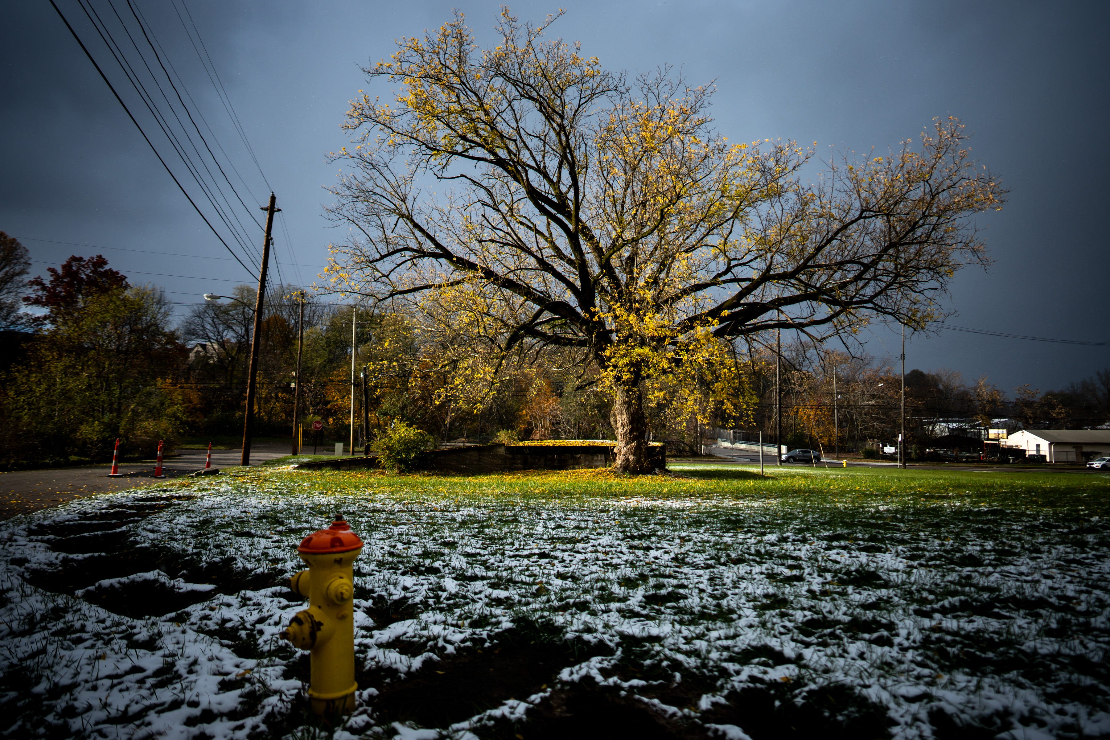 Winter weather plays havoc with leaf pickup plan in some Akron wards