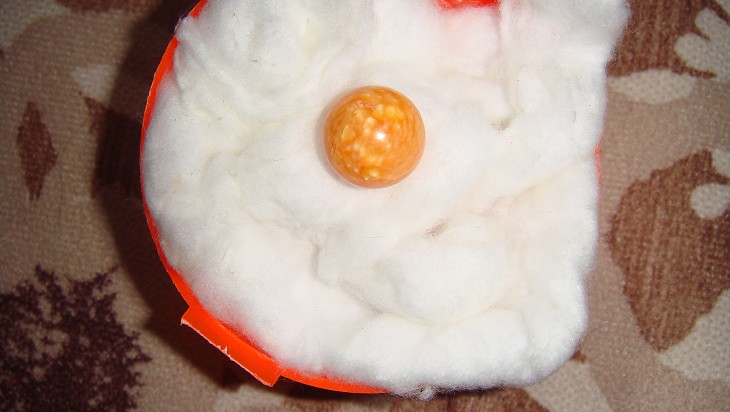 Fascinating Facts About Rare Pearls