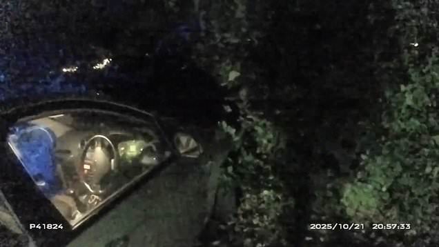 Instant Karma For Criminal After High Speed Chase Ends In Crash Into A Tree