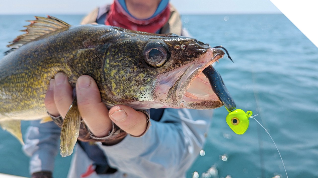 Flexi Jig sheepshead and walleye combo