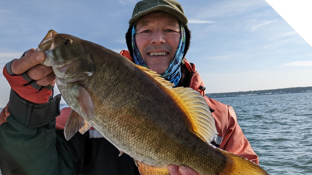 Big bass! Bass and walleye combo