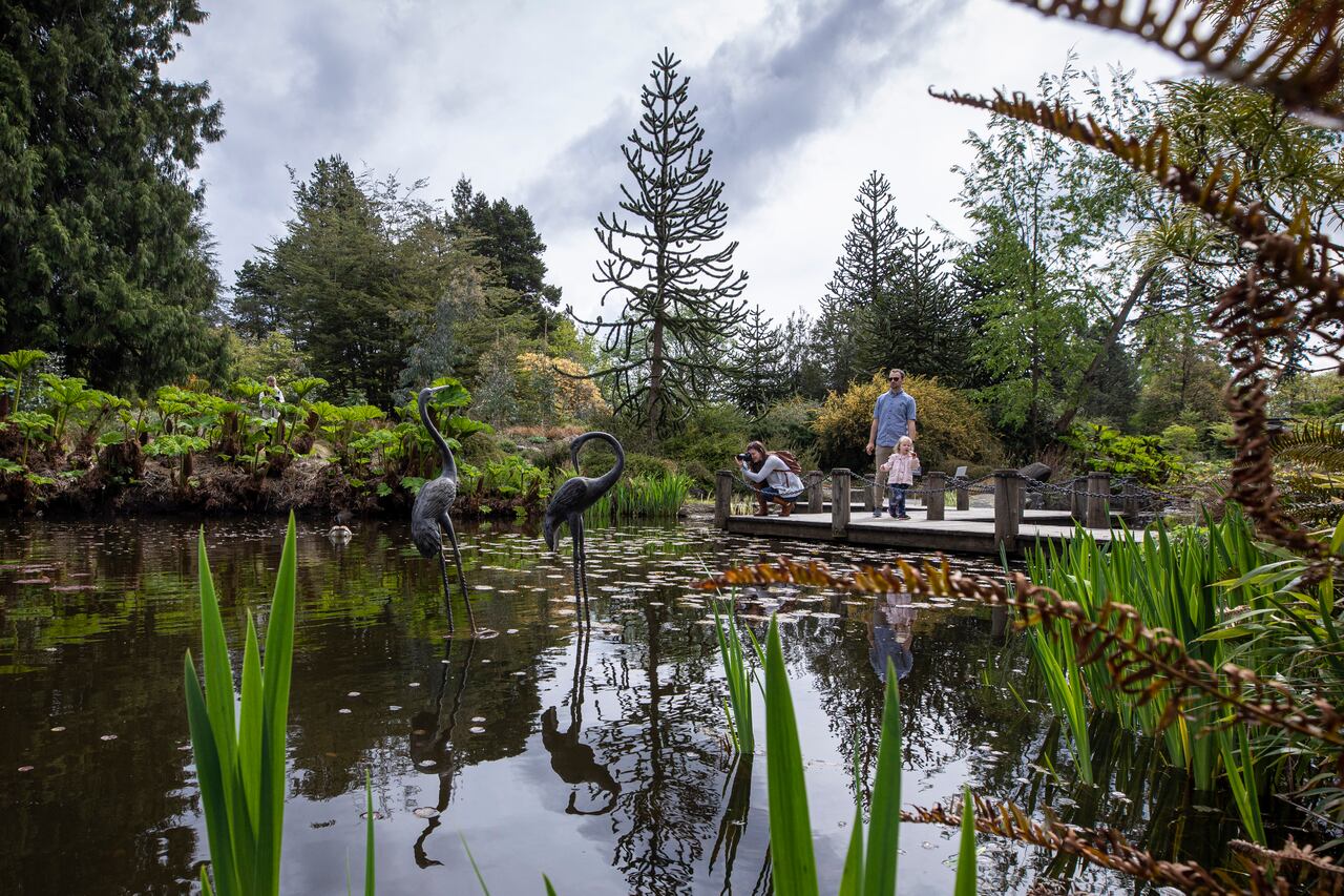 Vancouver Park Board hikes fees amid pressure to meet Sim’s budget plan
