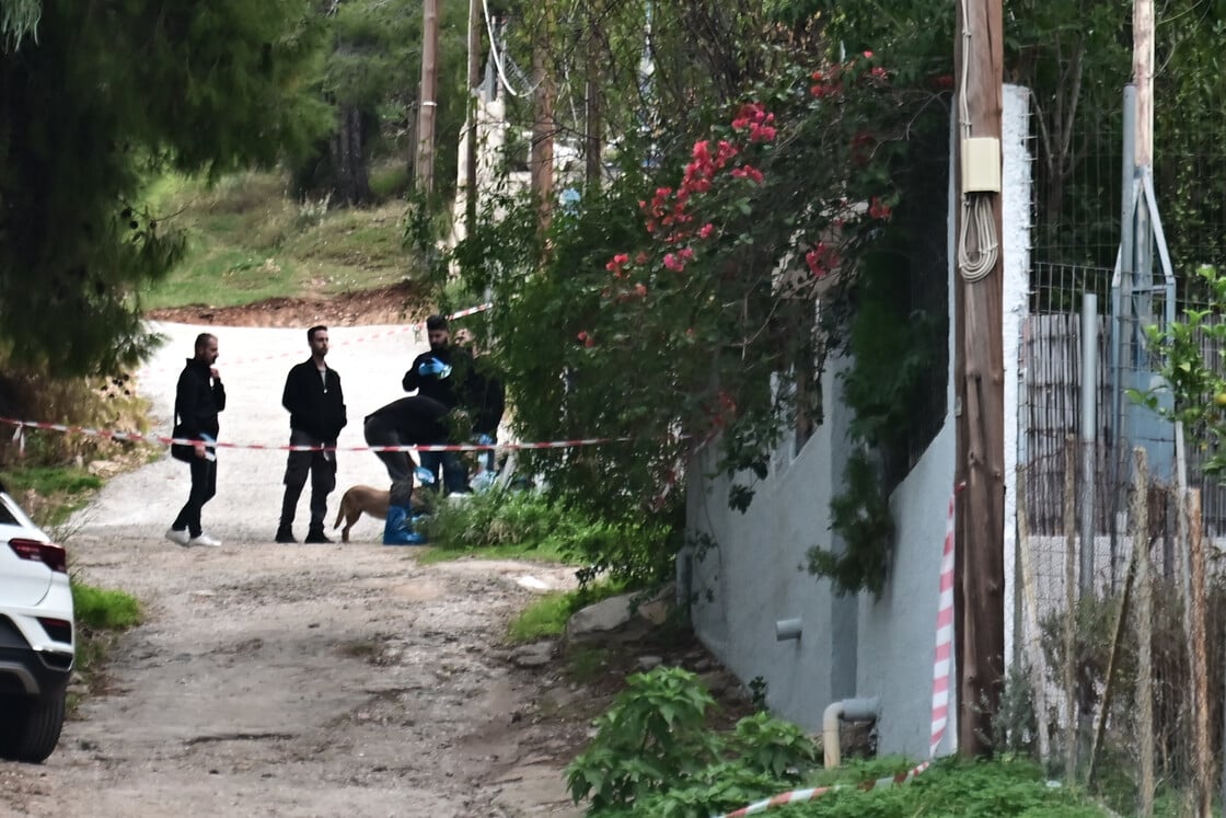 Δολοφονία στη Σαλαμίνα: «Φώναζε και φοβήθηκα ότι θα με αναγνωρίσει ...