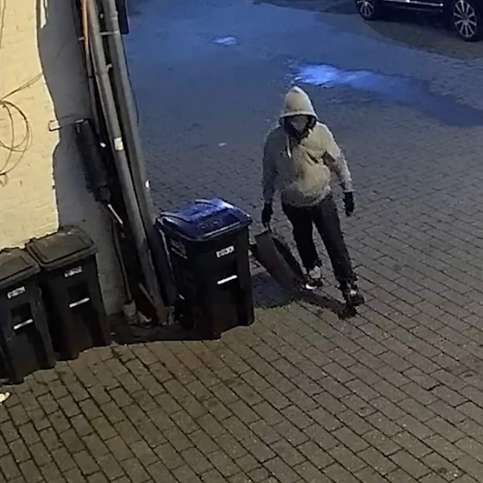 Judge orders alleged DC pipe bomber to remain detained pending trial