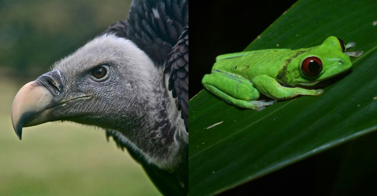 7 Animals That Clean Up Pollution Without Us Realising