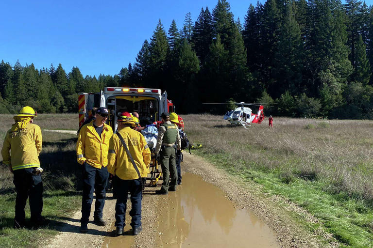 Tree rescue near UC Santa Cruz turns critical after man falls 80 feet