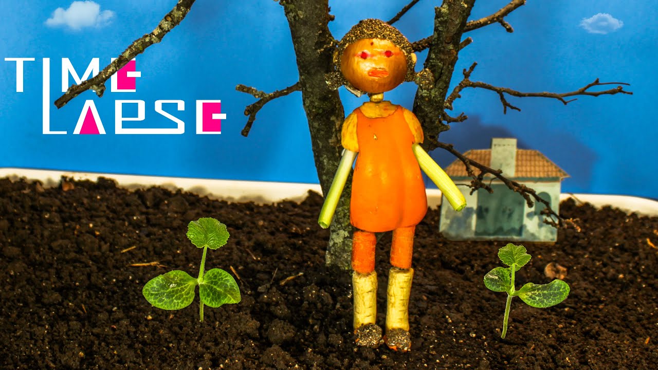 Squid Game: Plant edition time lapse