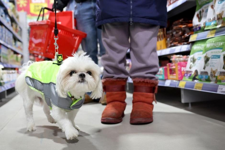 Jollyes Pets to open at former Poundland stores in Colne and Burnley