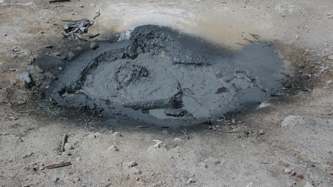 In the Pacific abyss, blue mud reveals life that breaks rules