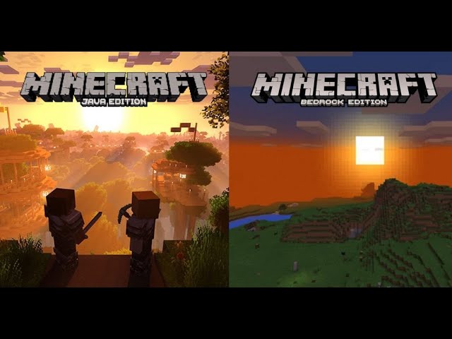 Minecraft Java y Bedrock servidor jugando con seguidores