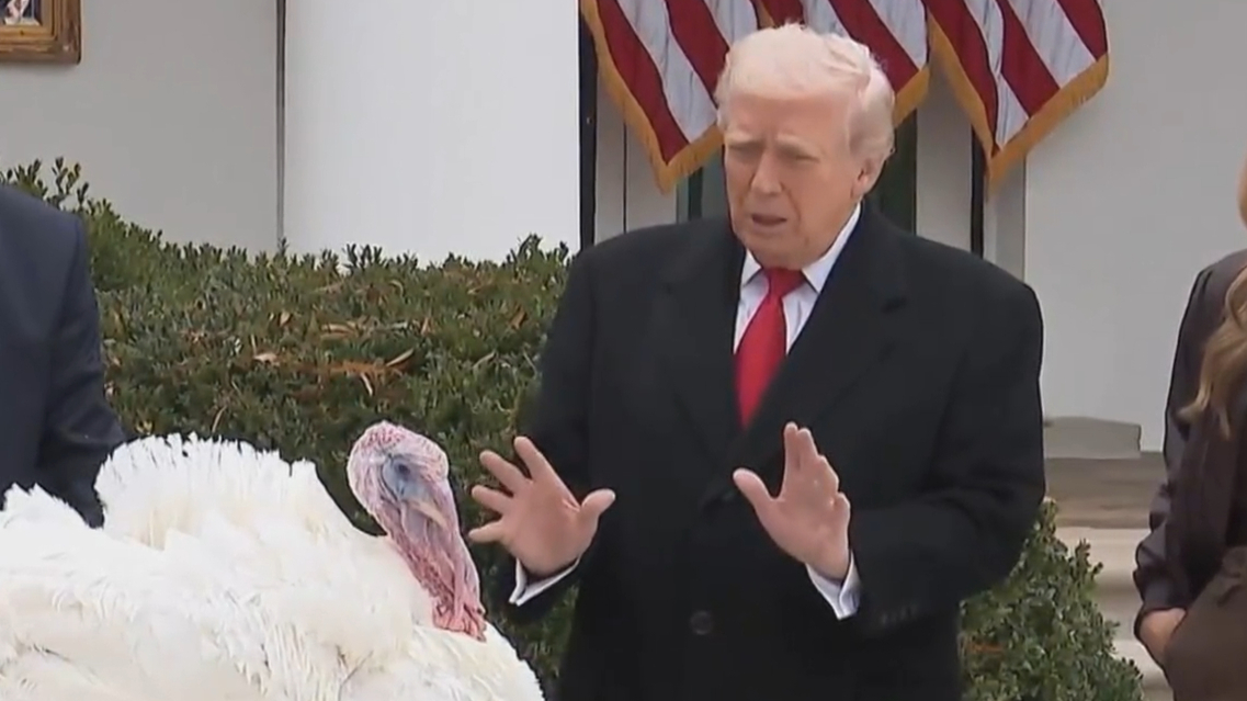 'Big, fat slob': Feathers fly as Trump pardons Thanksgiving turkeys