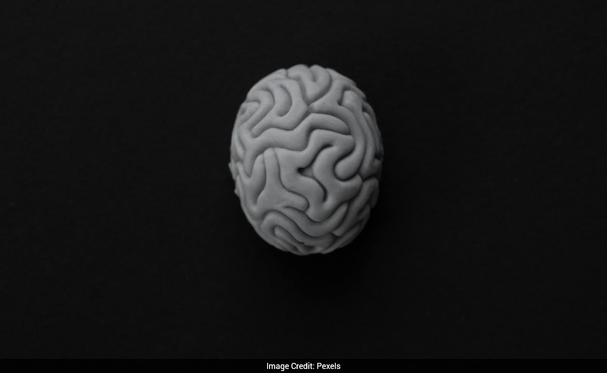 Scientists Find Human Brain Develops In Five Key Stages From Birth To ...