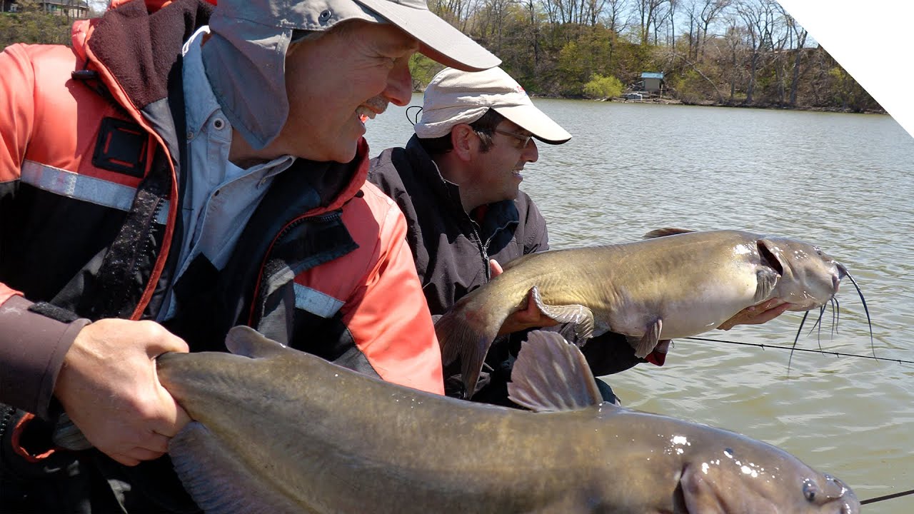 Big double header catfish!
