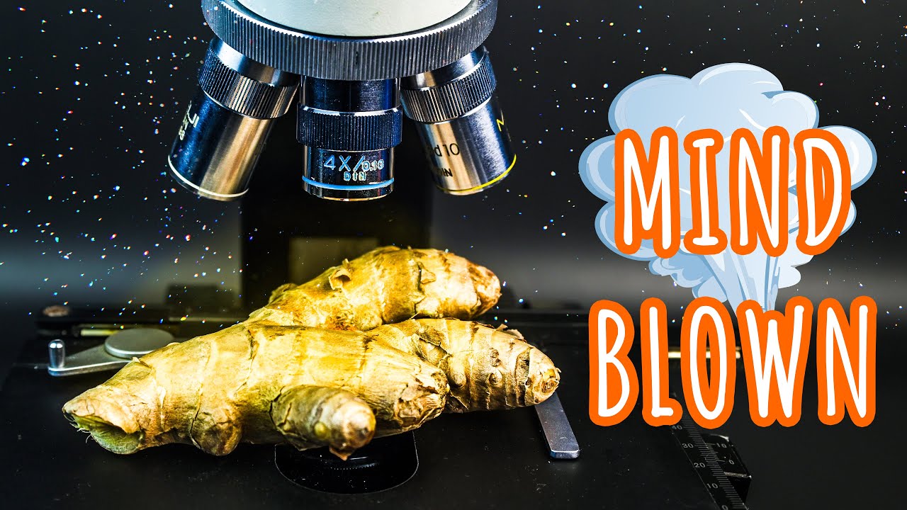 I found a galaxy inside a ginger (under microscope)