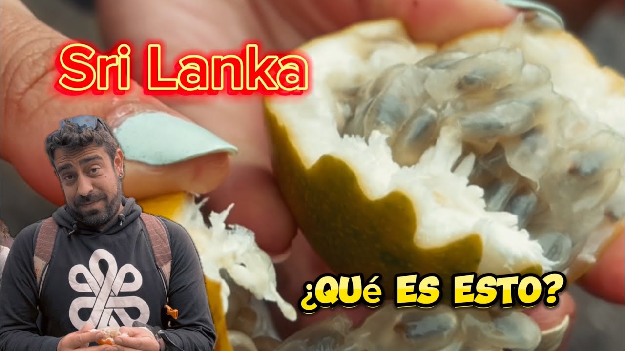 Sri Lanka 🇱🇰 (3/3) Nuwara Eliya y Kandy