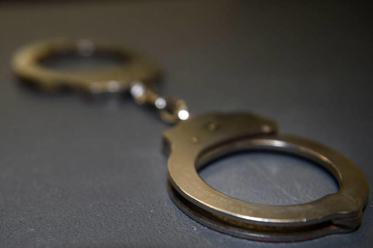 Mom accused of faking child’s illness to rob stranger