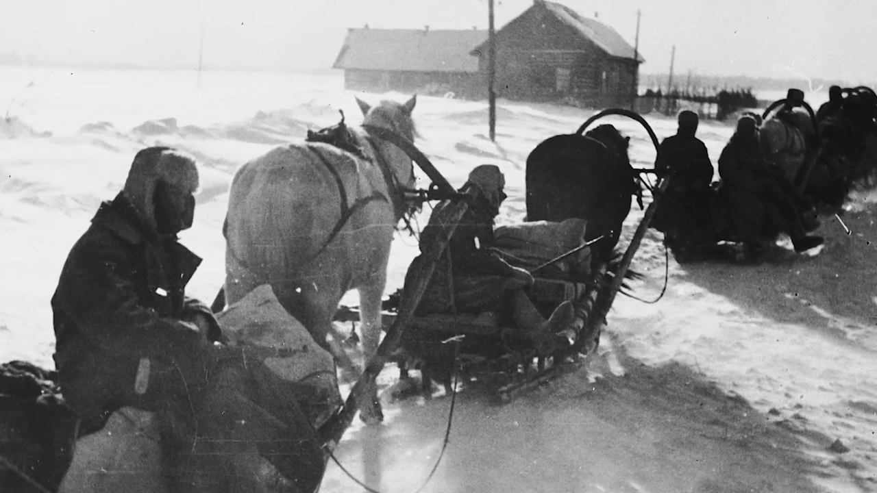 The Winter That Broke the Cavalry: Germany’s Horses and the Frozen Hell ...