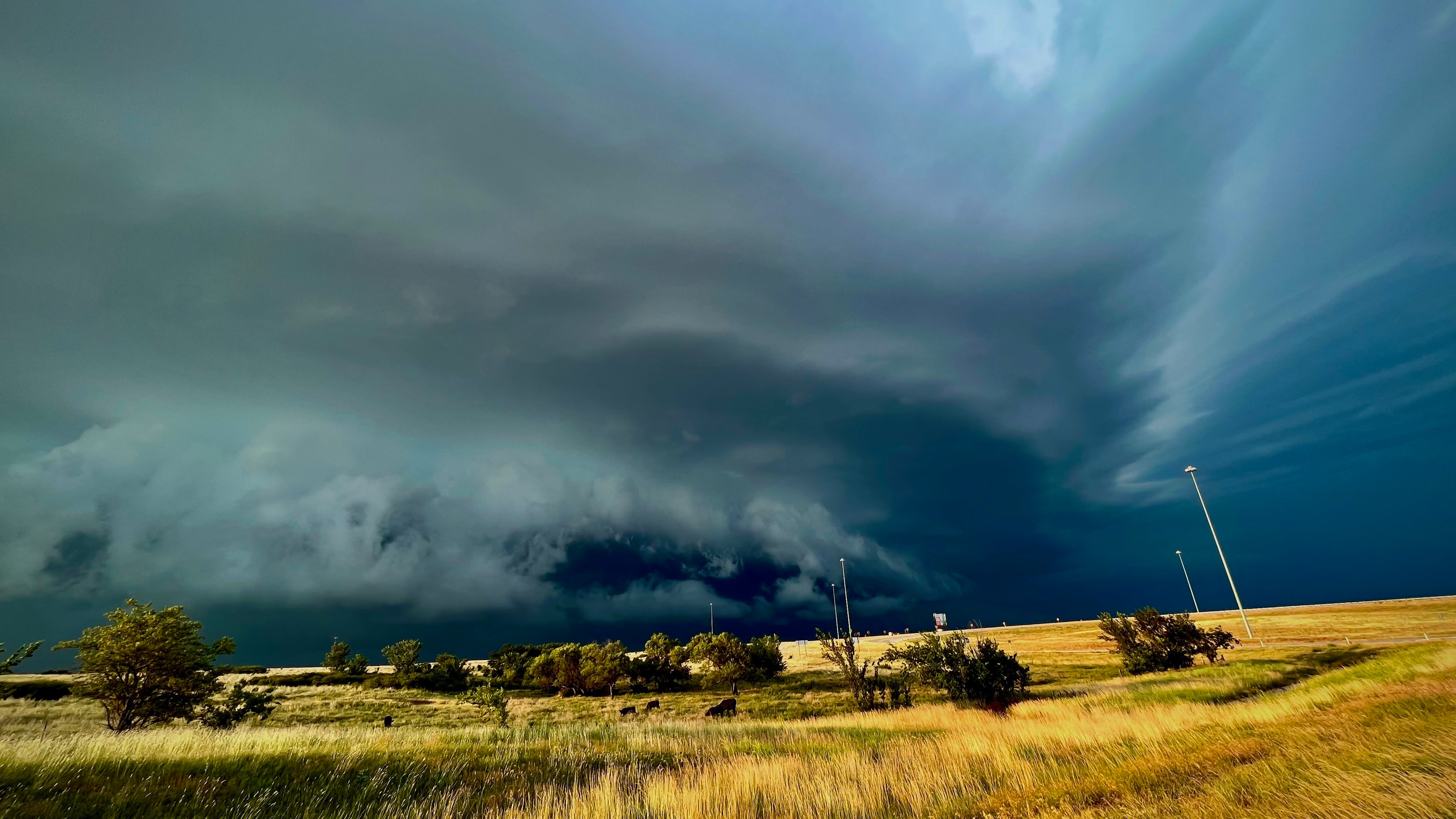 From Blizzards To Heat Waves, The Weirdest Thanksgiving Weather Events ...