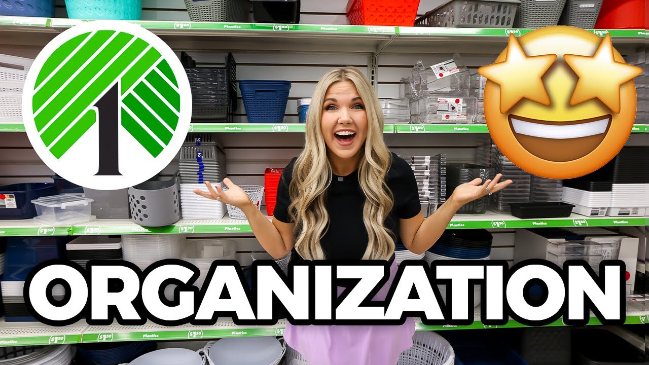 Cheap Dollar Tree finds turned into clean, classy home storage