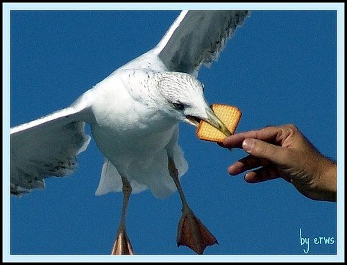 12 Rare Phobias Psychologists Say Are Almost Impossible to Treat